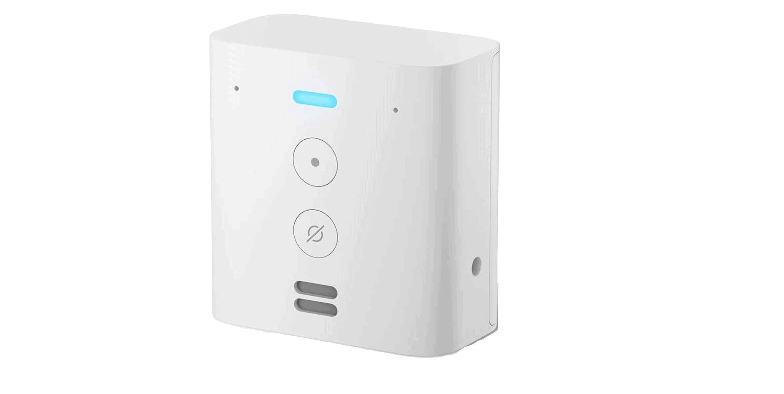 Amazon Echoflex Lupon gov ph