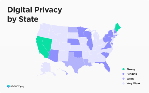 47 States Have Weak or Nonexistent Consumer Data Privacy Laws ...