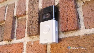 Defensive Landscaping: Using Plants For Protection | Security.org